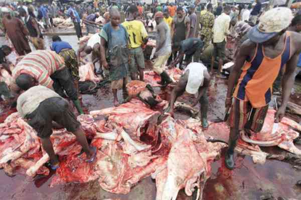 Bodija abattoir: ‘Butchers lost N300m in one week’ Bodija abattoir ...