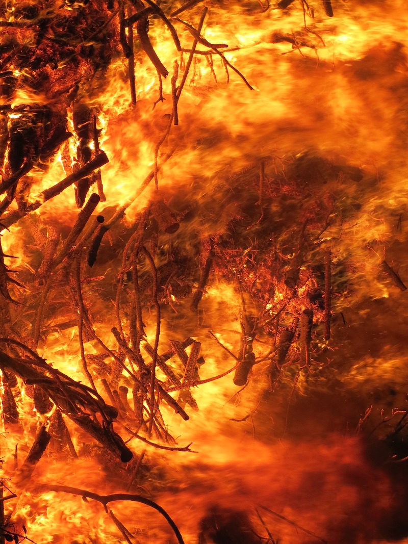 Fire destroys N200m cashew nursery – The Sun Nigeria